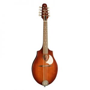 Seagull S8 Mandolin Review (2025)